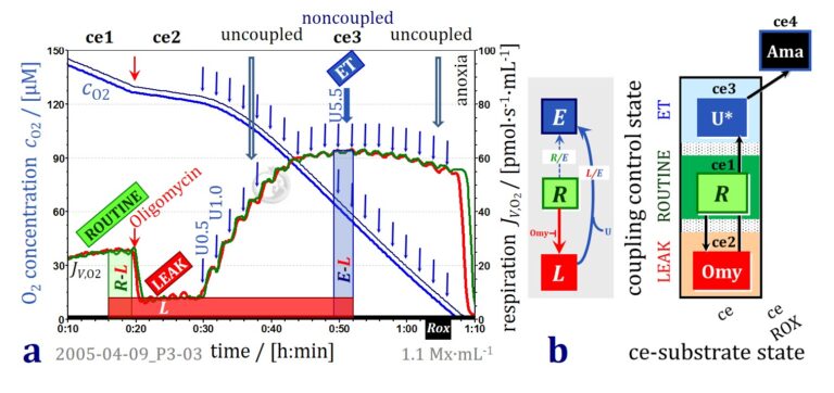 フラックスアナライザー OROBOROS O2k-FluoRespirometer | ベルトールドジャパン株式会社