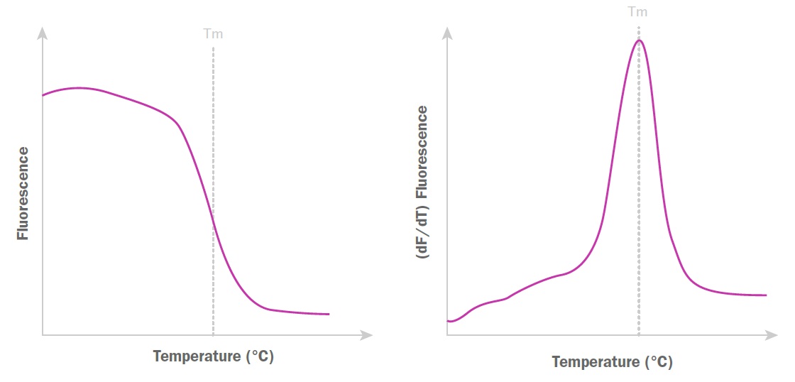 qPCR テクニカルガイド | ベルトールドジャパン株式会社